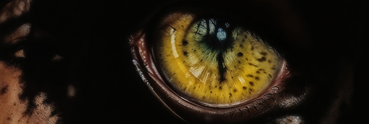 Alien Dawn Obscura (2025) | UHM - UpcomingHorrorMovies